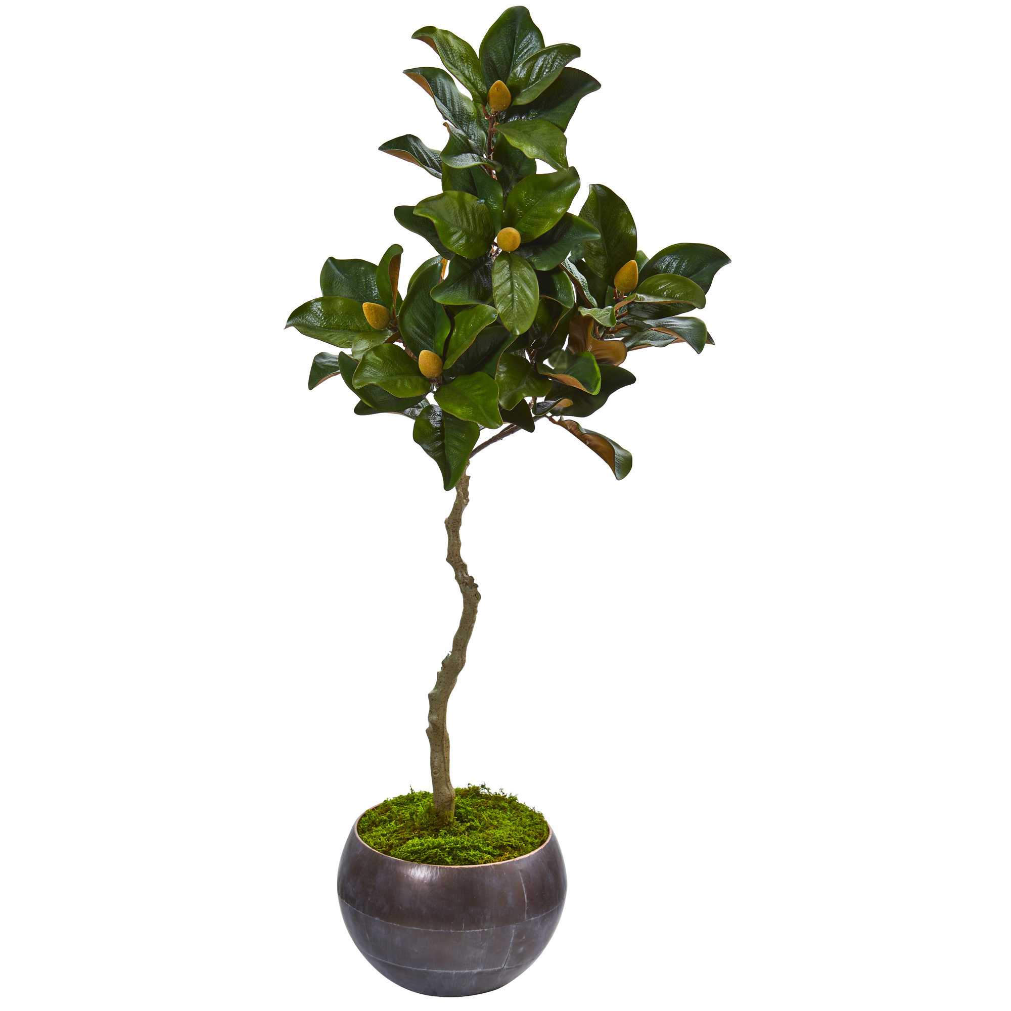 Gracie Oaks 54'' Faux Magnolia Tree in Metal Planter | Wayfair
