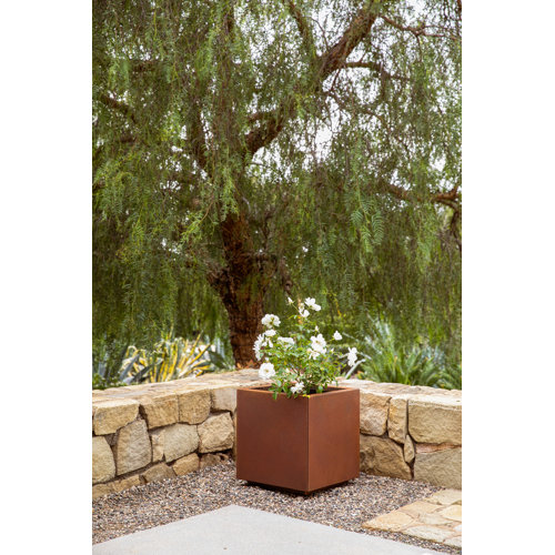 Corten Steel Series Cube Planter Box & Reviews | AllModern