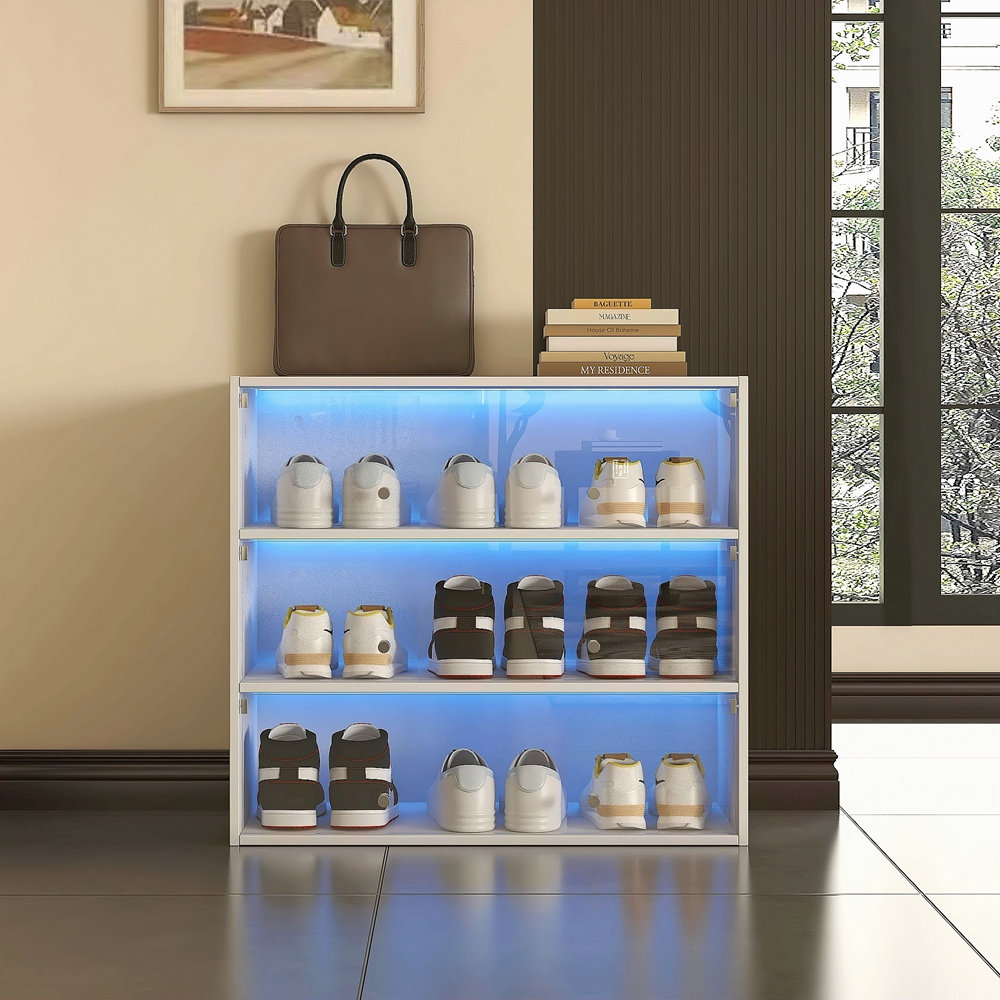 Latitude Run® Glass Door Shoe Box Shoe Storage Cabinet With RGB Led ...