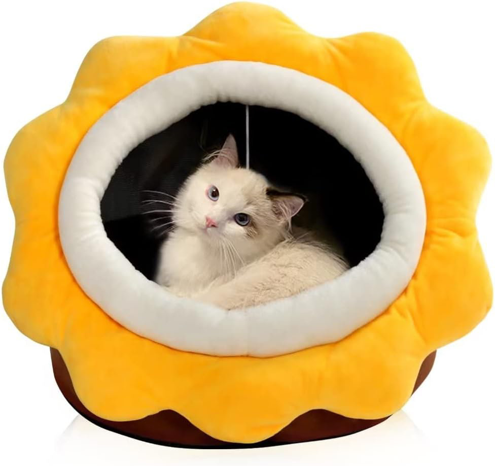 Tucker Murphy Pet™ Cat Beds for Indoor Cats with Anti-Slip Bottom | Wayfair