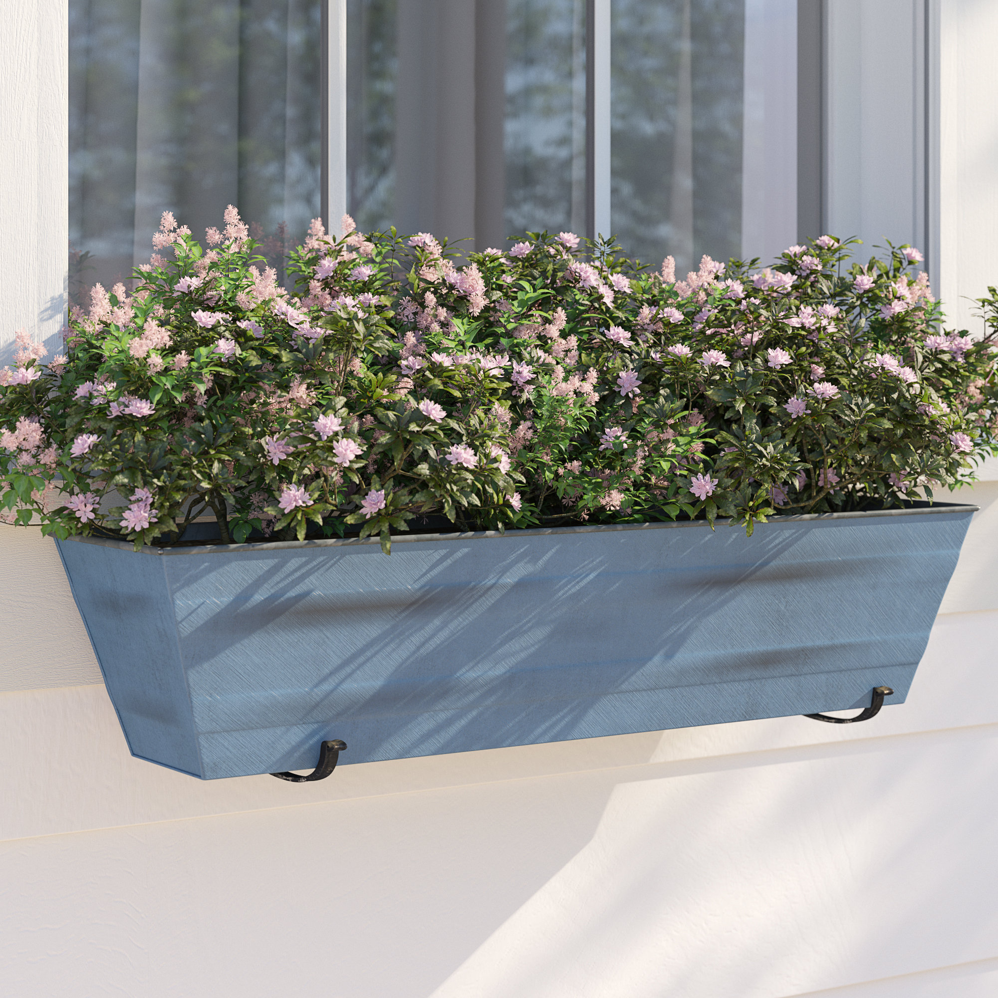 Gracie Oaks Jaimee-Lea Galvanized Steel Window Box Planter & Reviews ...