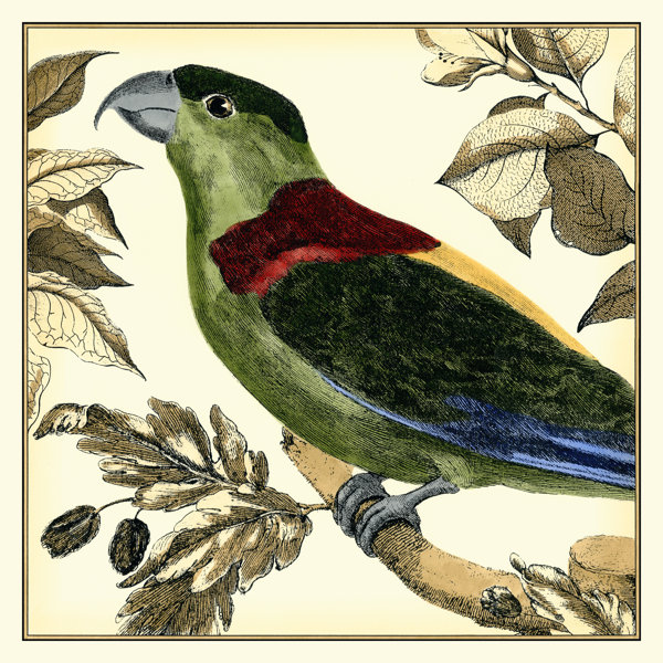 Bay Isle Home Tropical Parrot IV by Martinet - Wrapped Canvas Painting ...