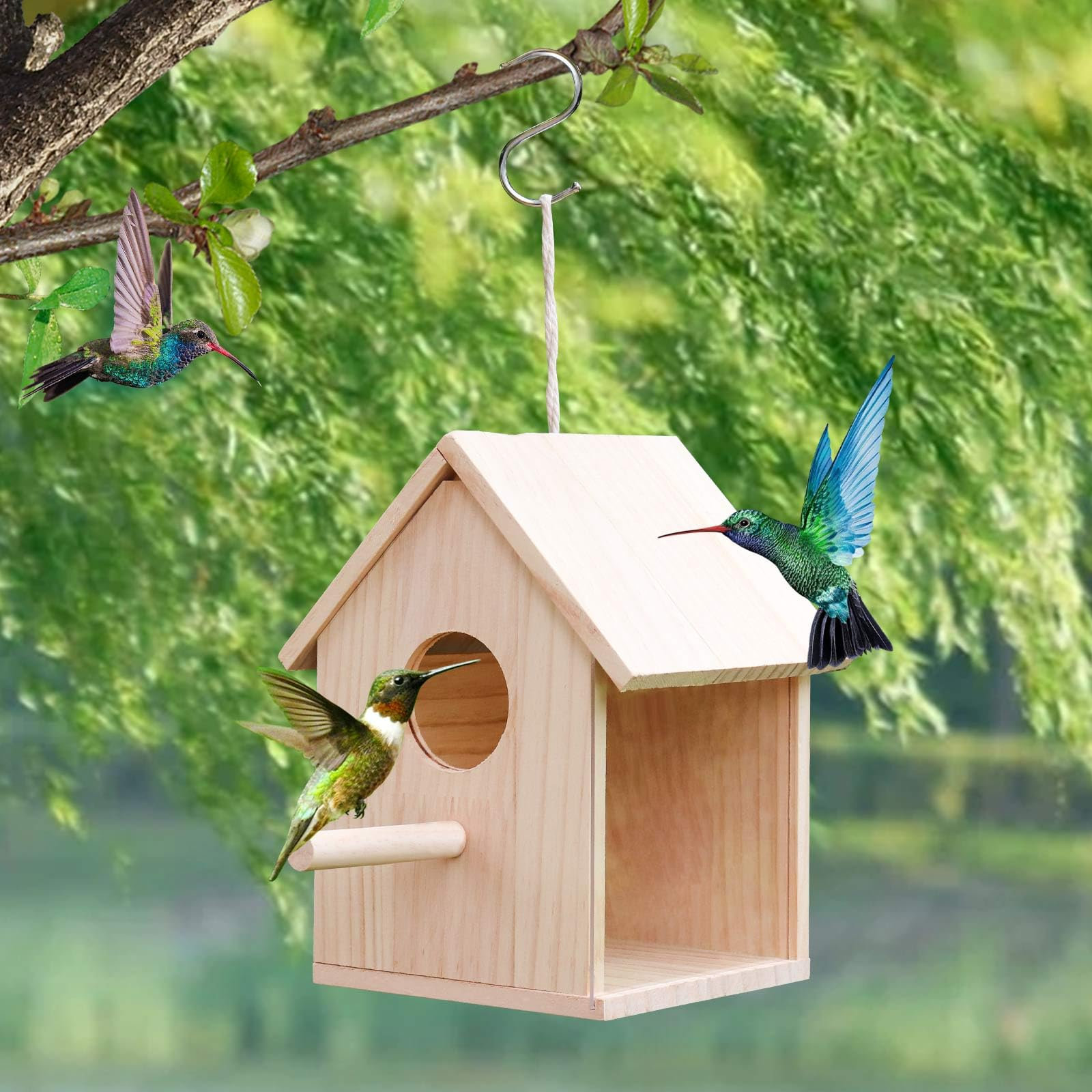 August Grove Outdoor Wooden Birdhouse with Transparent Acrylic Window ...