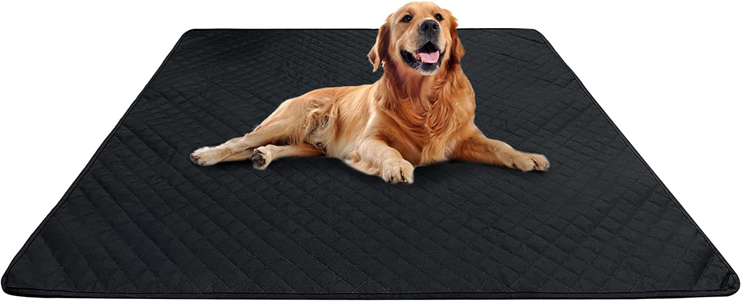 Tucker Murphy Pet™ Heavy-duty Waterproof Washable Pet Mat/Pad & Reviews ...