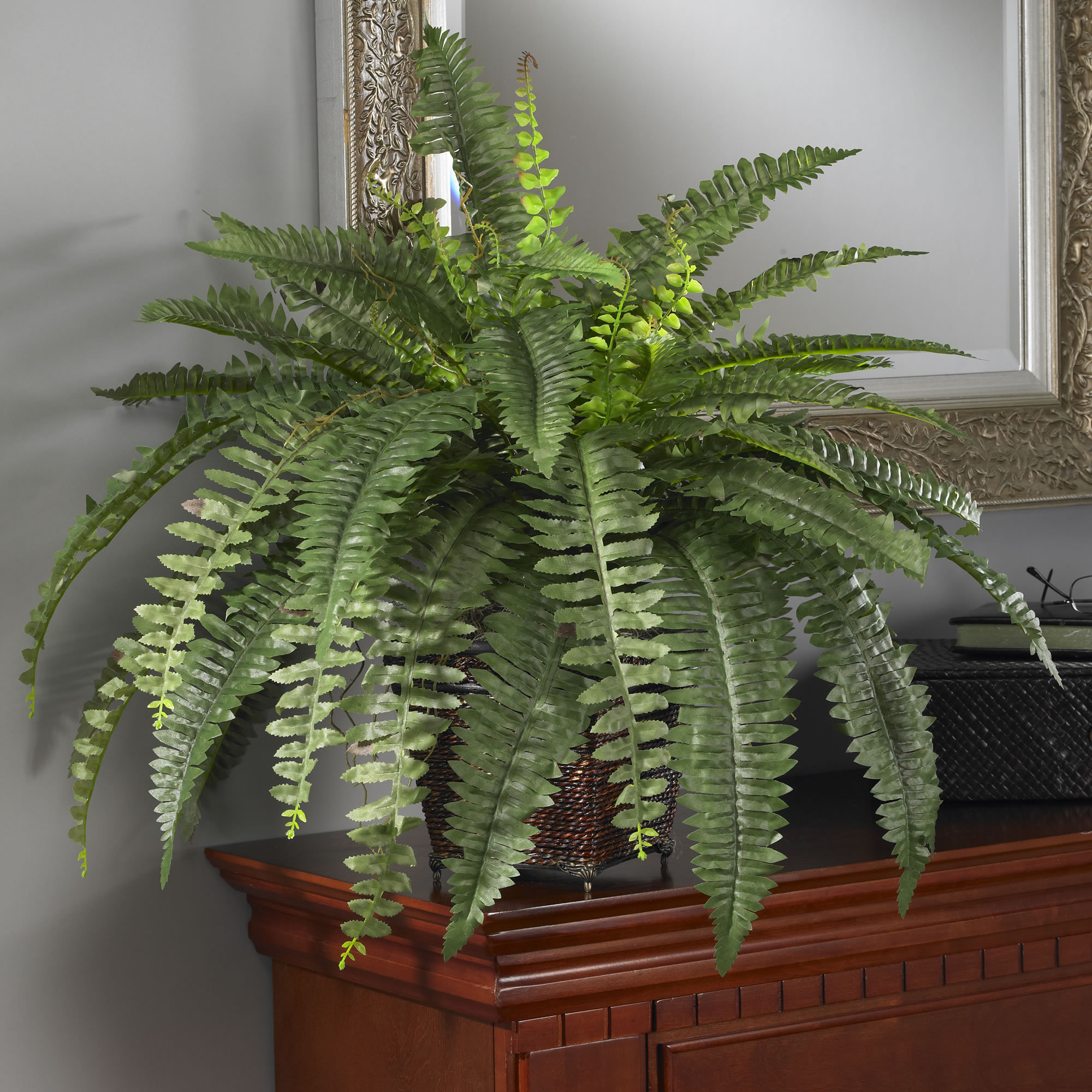 World Menagerie Silk Boston Fern Desk Top Plant with Pot & Reviews ...