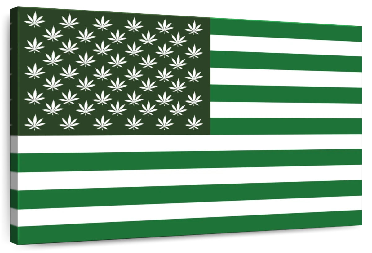 Ebern Designs Borges Green Cannabis American Flag | Wayfair