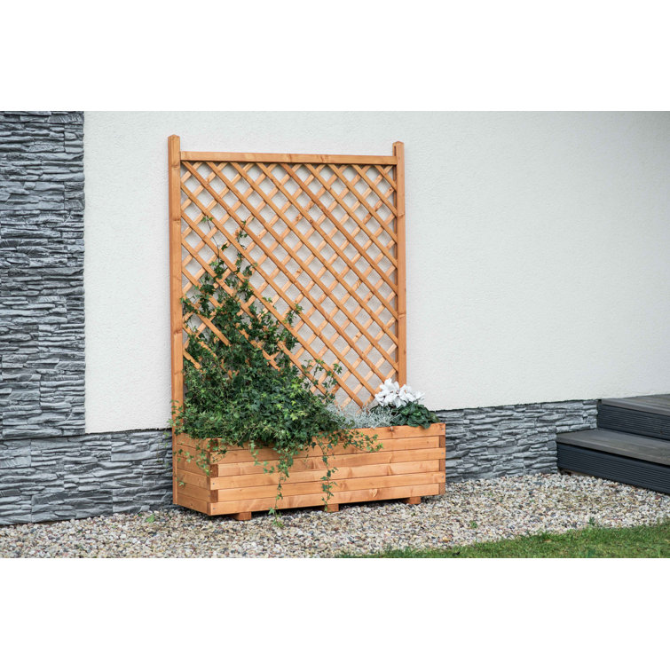 Sol 27 Outdoor Corrine Wood Planter Box with Trellis | Wayfair.co.uk
