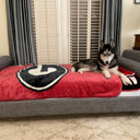 George Oliver Forkey Upholstered Daybed & Reviews | Wayfair