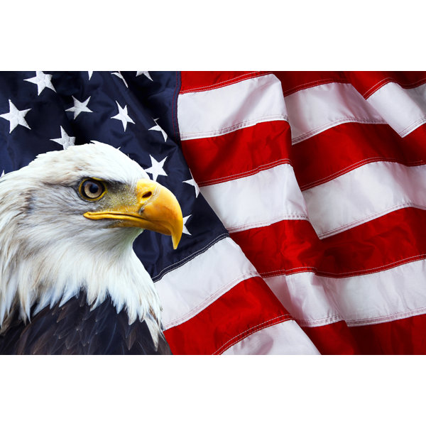 Millwood Pines Bald Eagle - Wrapped Canvas Photograph | Wayfair