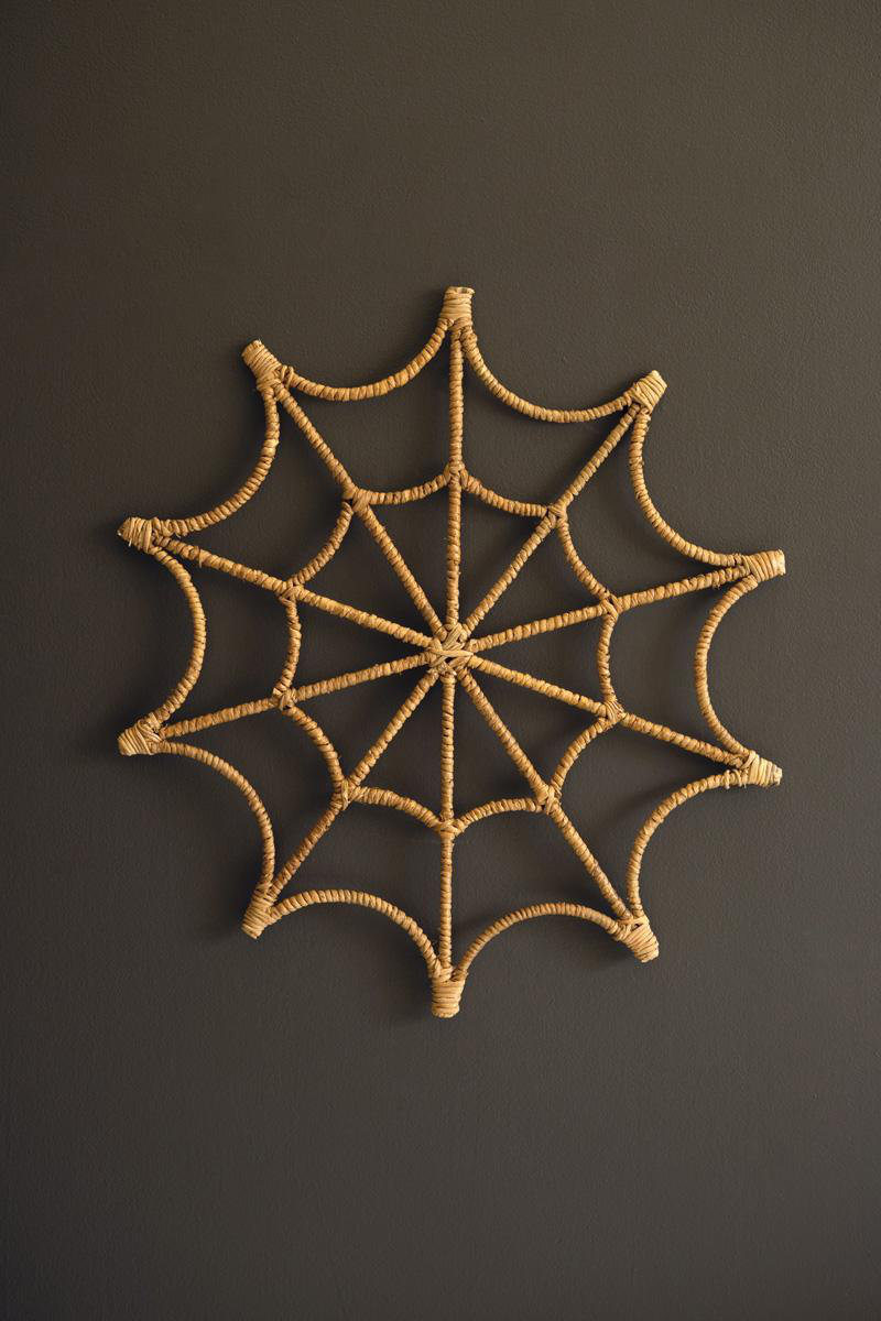 Dakota Fields SEAGRASS AND IRON SPIDER WEB | Wayfair