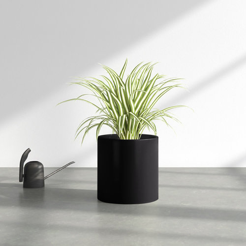 Modern Black Planters | AllModern