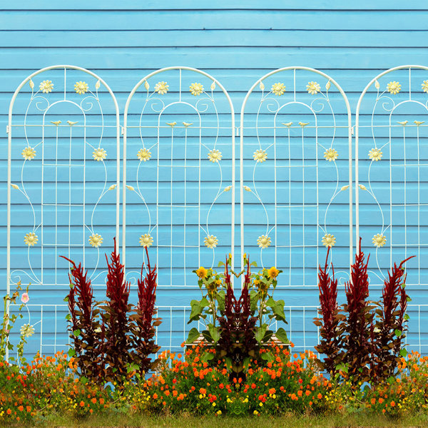 Red Barrel Studio® Karmari Metal Garden Trellis for Climbing Garden ...