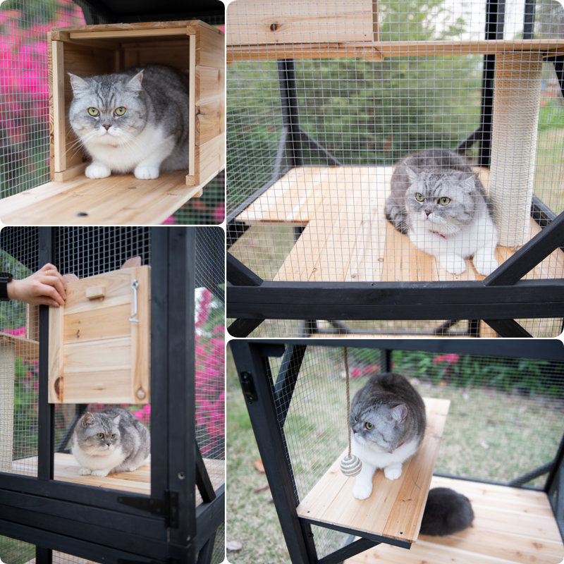 Tucker Murphy Pet™ Geniah Portable Cat Cage & Reviews | Wayfair