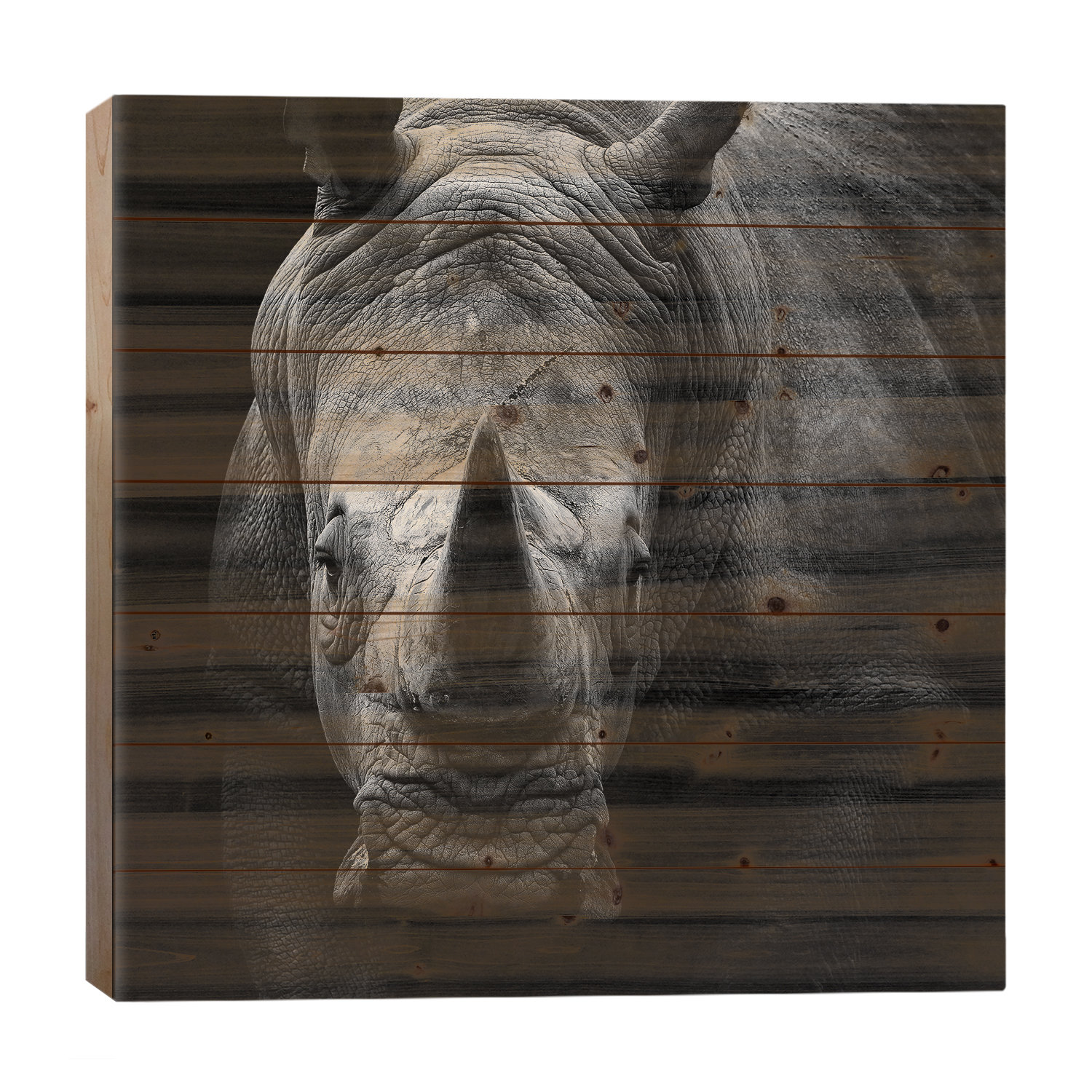 Latitude Run® Rhino in Black & White by Lukas Holas - Unframed Print ...