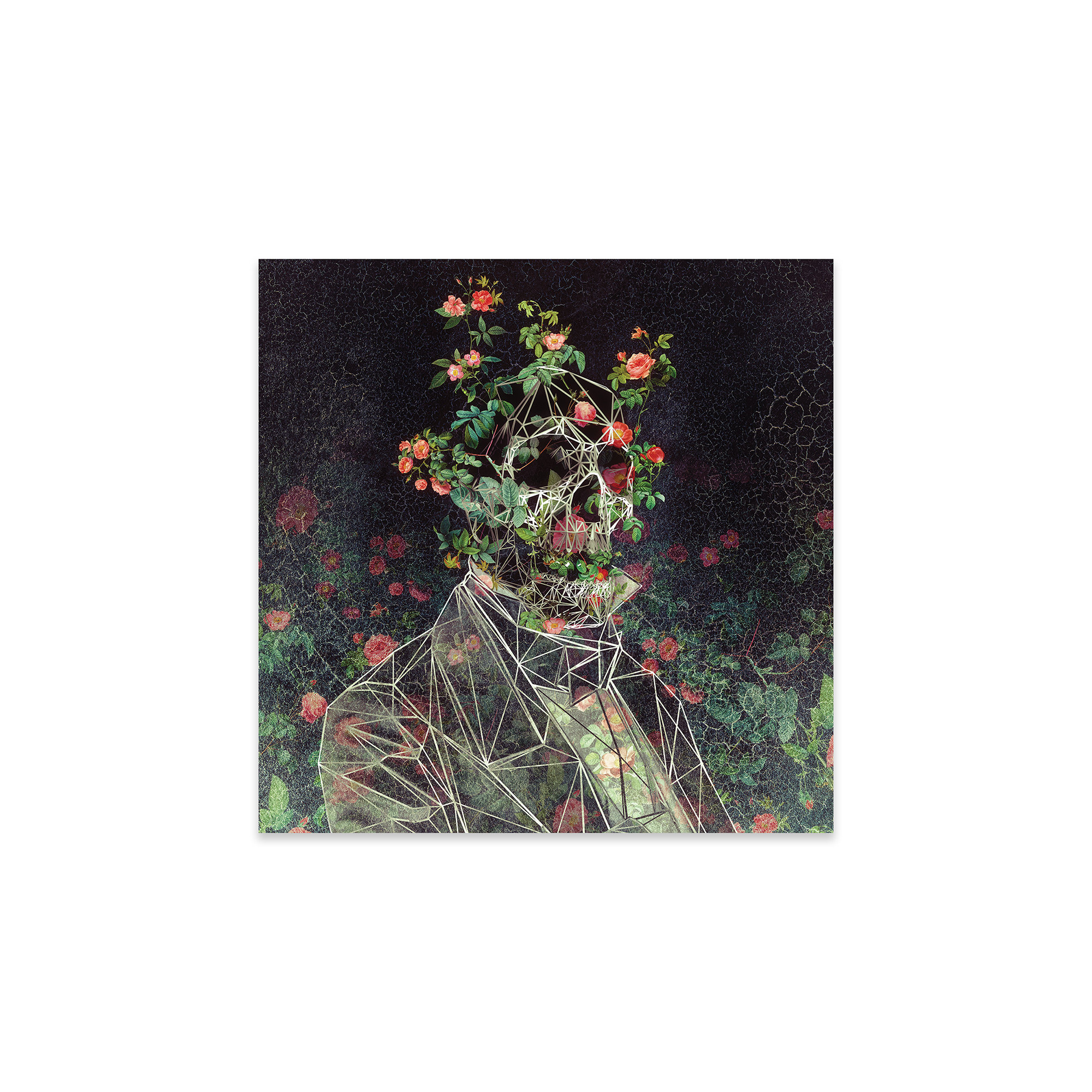 Trinx Mr: Cage Print On Acrylic Glass - Wayfair Canada