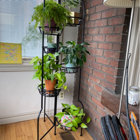 Fleur De Lis Living Bridget Plant Stand & Reviews - Wayfair Canada