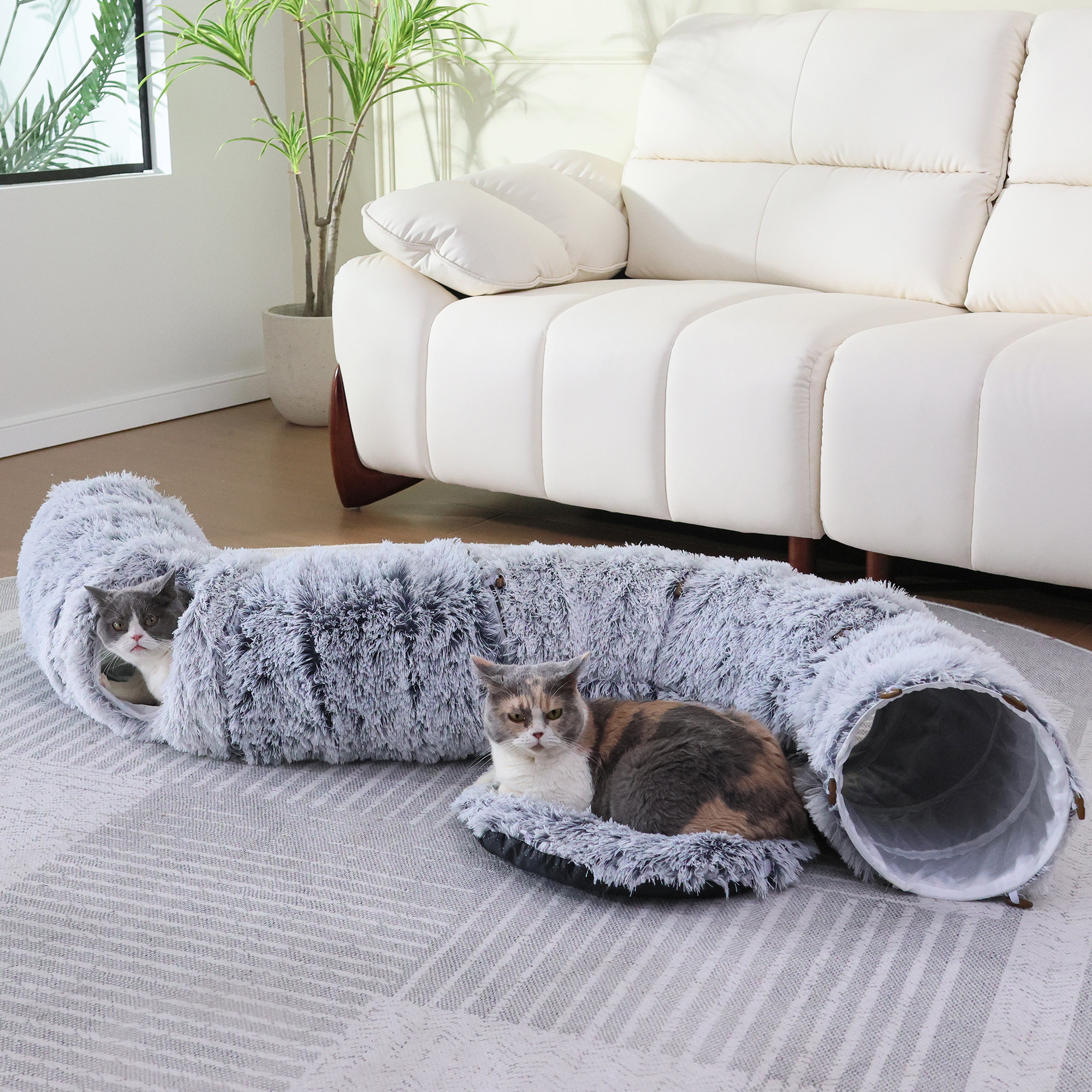 Archie & Oscar™ Cat Tunnel With Cat Bed For Indoor Cats ...