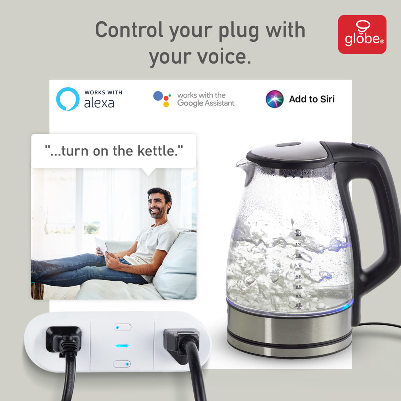 Globe Electric Company Wi-Fi Smart Plug & Reviews - Wayfair Canada