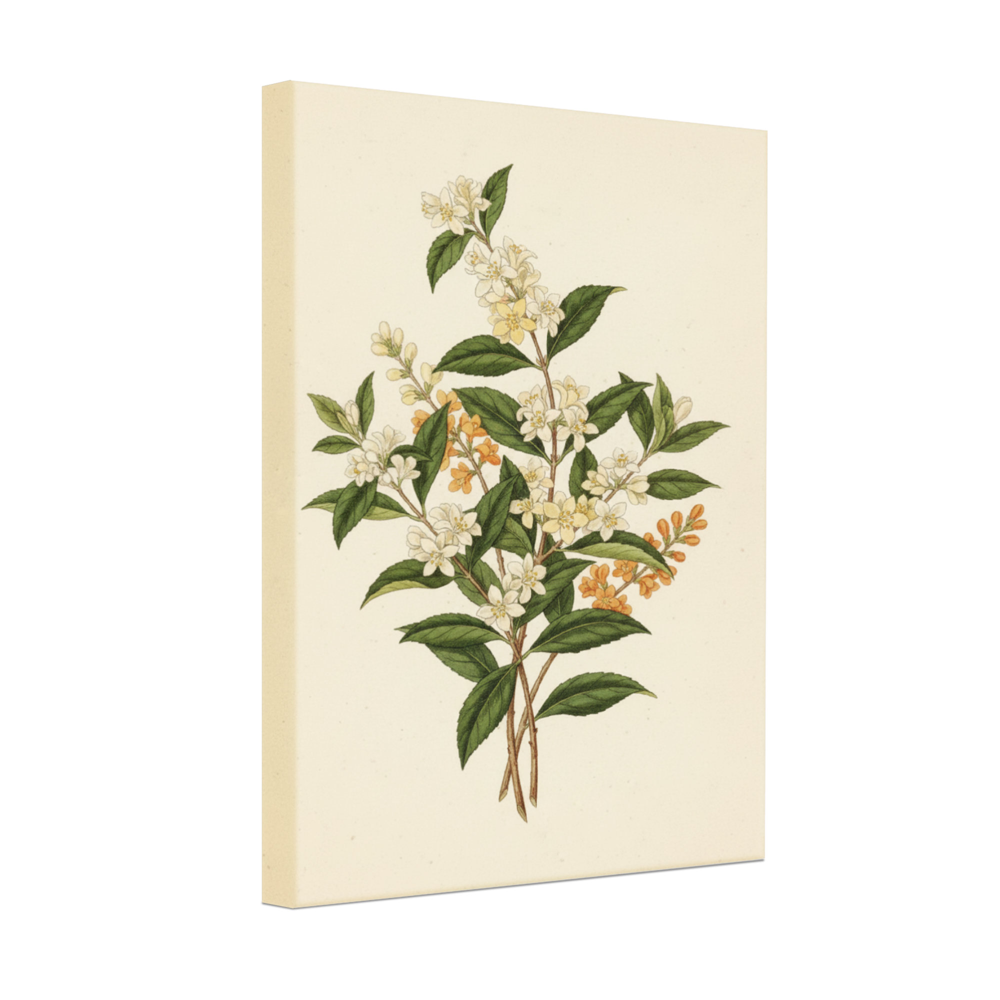 Canora Grey Plants & Flowers Floral Botanical Leaves | Wayfair