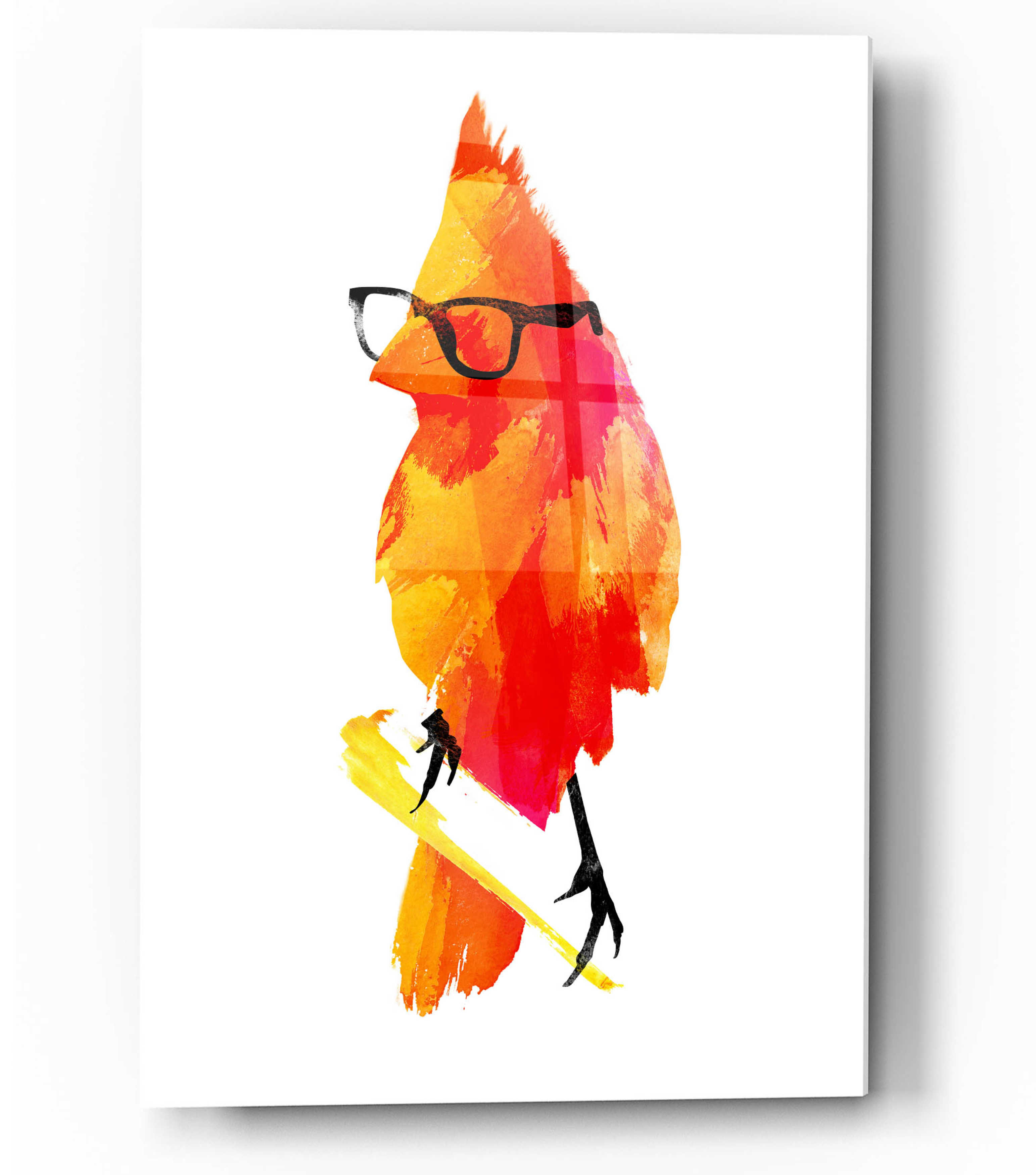 Trinx Punk Bird' by Robert Farkas, Acrylic Glass Wall Art | Wayfair