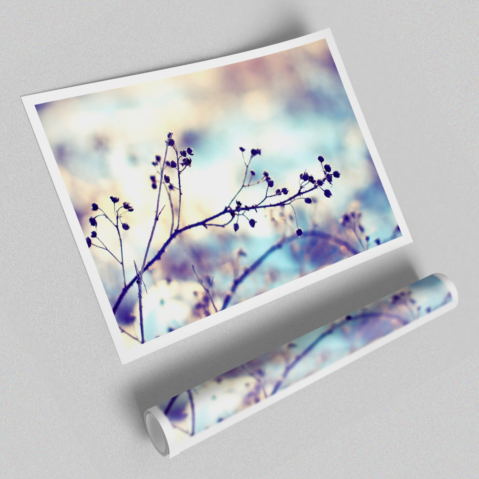East Urban Home 'Spikey Twigs with Berries Flowers' - Unframed ...