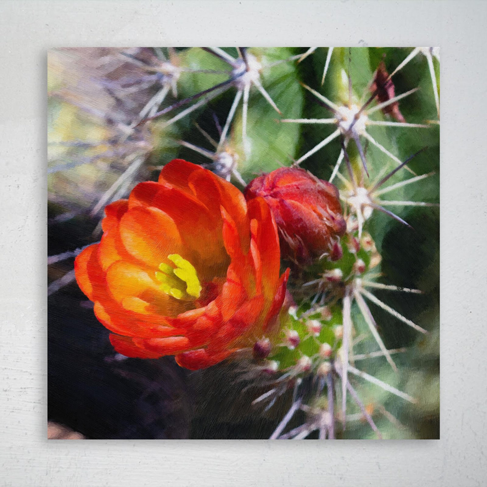 Dakota Fields Red And Yellow Flower In Bloom During Daytime - 1 " Red ...