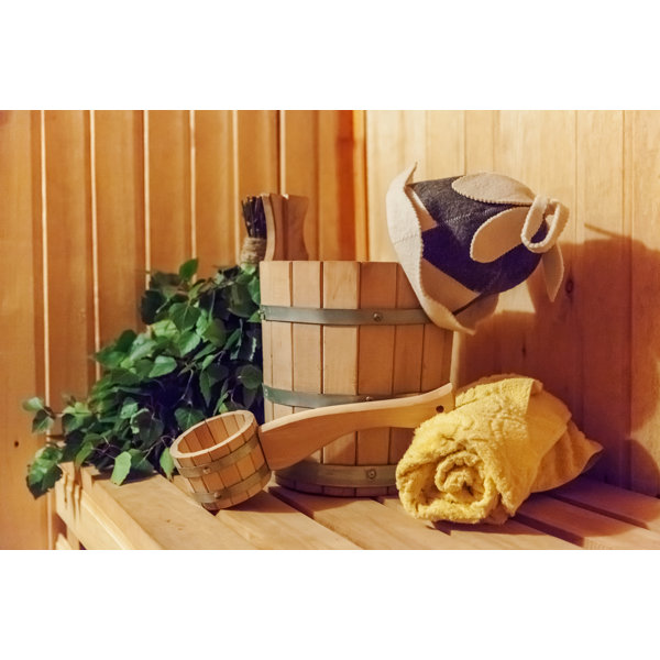 Hokku Designs Filoteo Finnish Sauna Room On Canvas by Iuliia ...