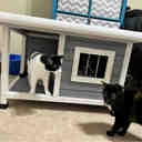 Tucker Murphy Pet™ Chayce Gray Wood Dog House & Reviews | Wayfair