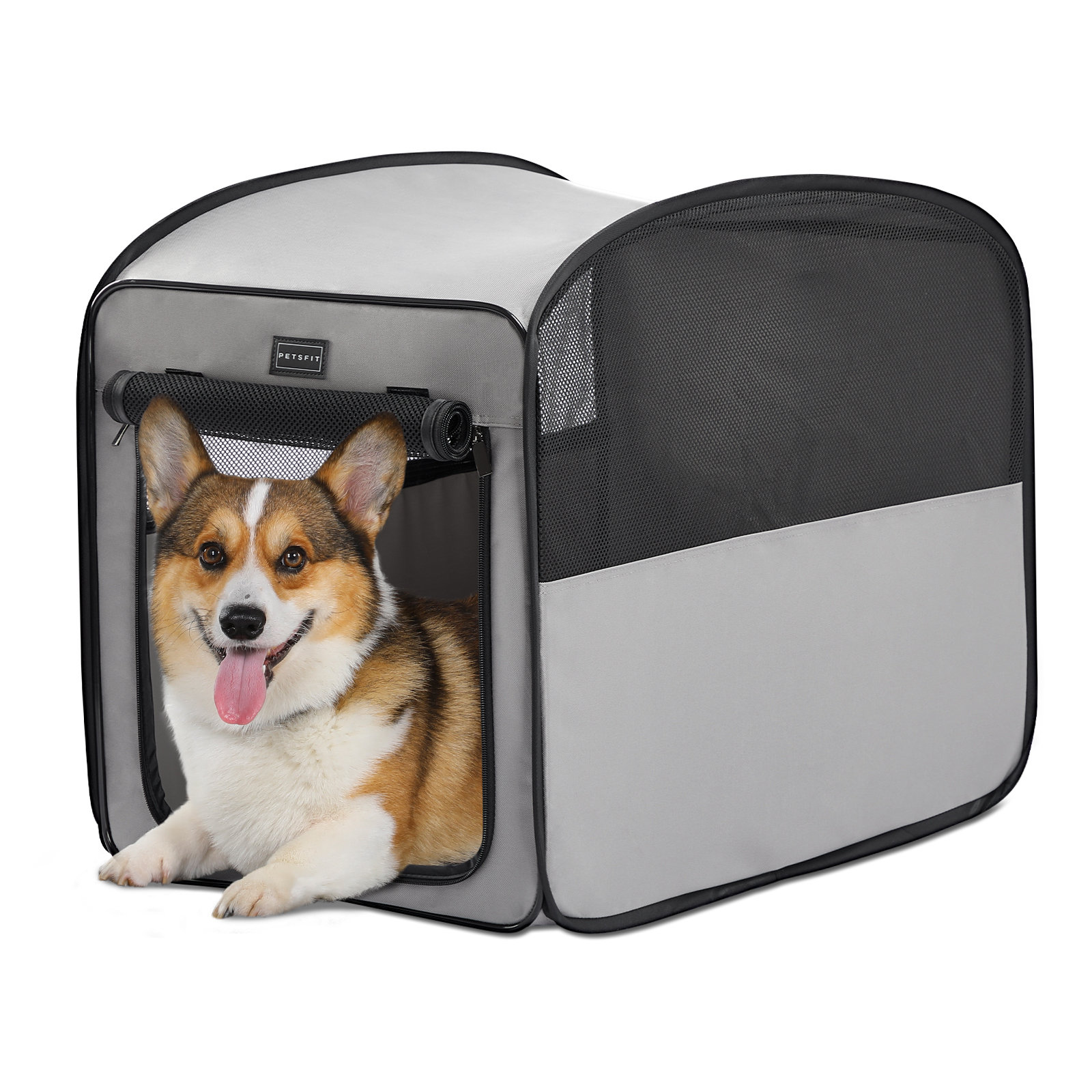 Tucker Murphy Pet™ Collapsible Pet Soft-Sided Crate with 1 Door | Wayfair