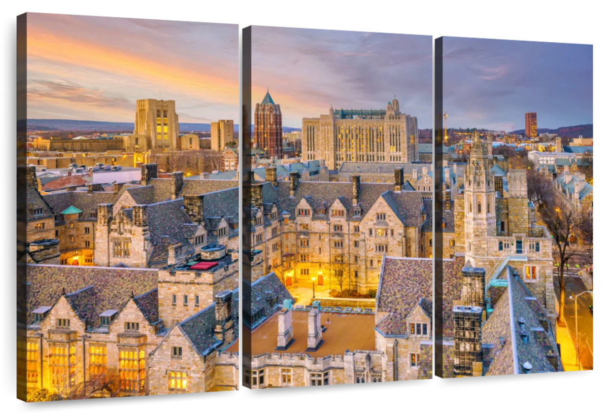 Ebern Designs Lilie Yale University Buildings - Wayfair Canada