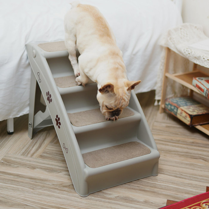 Archie & Oscar Collapsible Stairs With 4 Steps | Wayfair.co.uk
