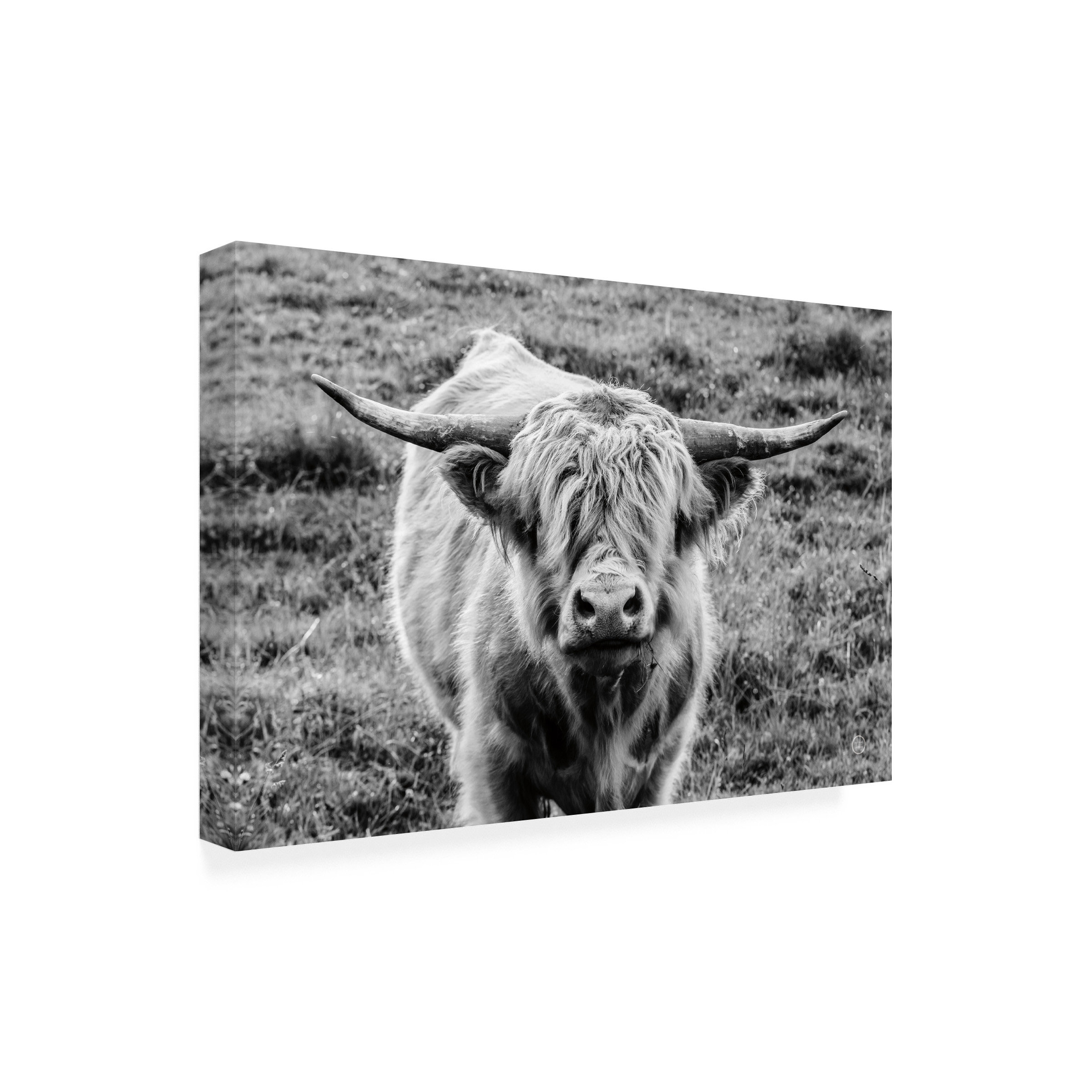 Foundry Select Nathan Larson ''Highland Cow Staring Contest'' Canvas ...
