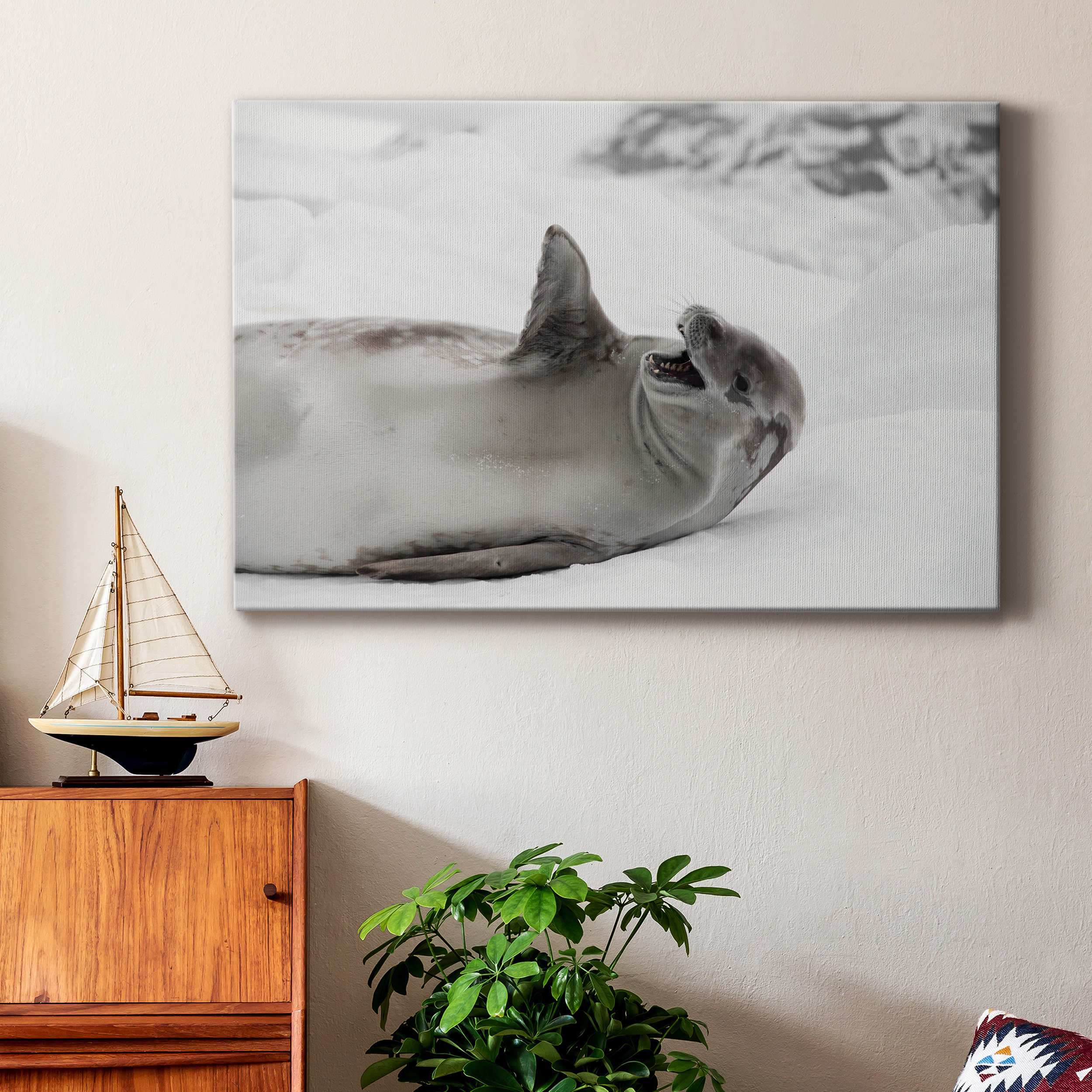 Ebern Designs Laughing Seal - Wrapped Canvas Photograph | Wayfair