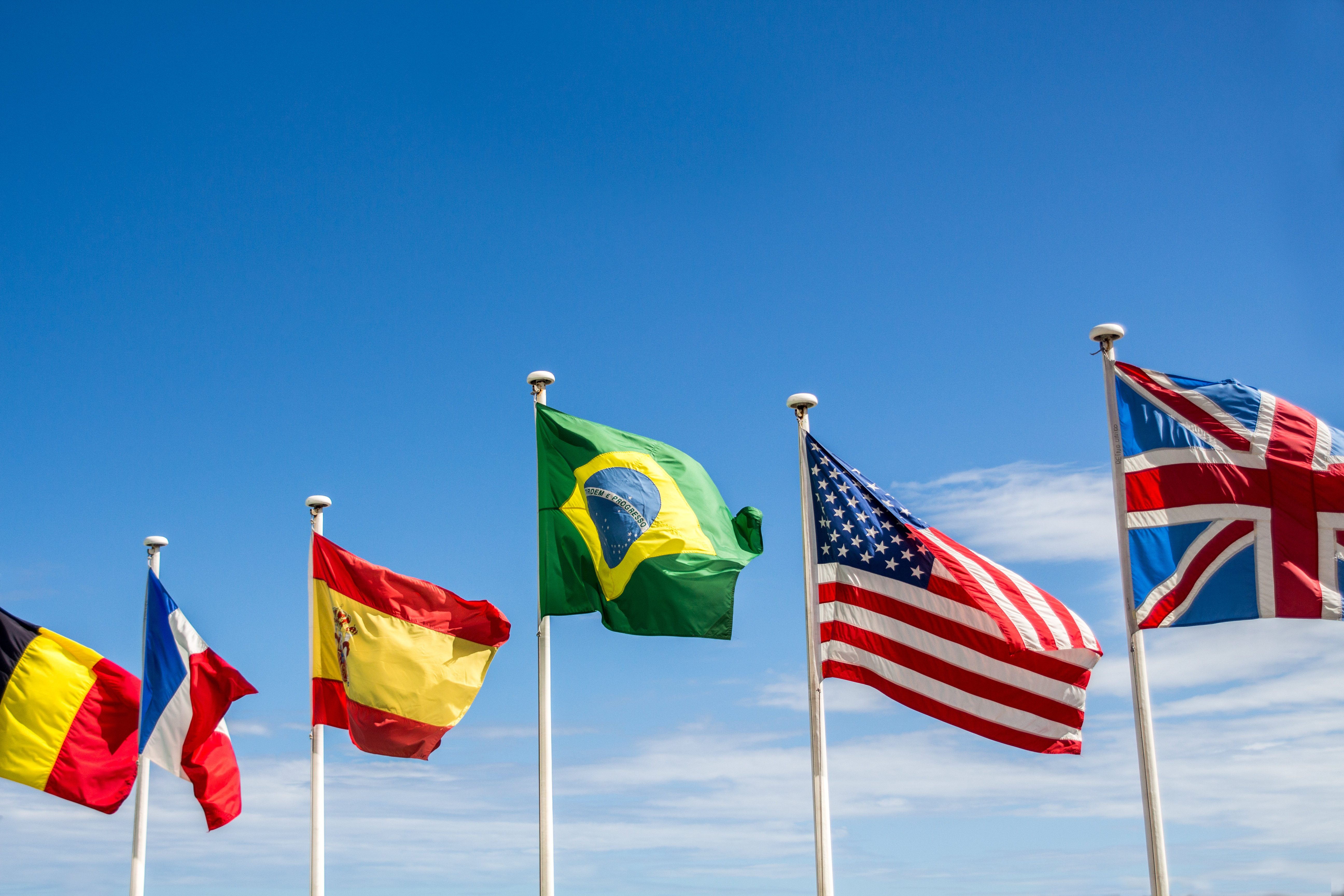 Ebern Designs Flags | Wayfair.co.uk