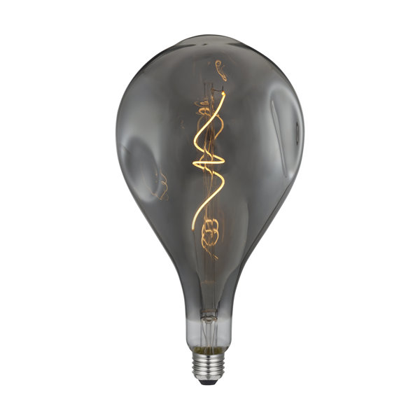 Ivy Bronx 5W E27 Dimmable LED Vintage Edison Globe Light Bulb Grey ...