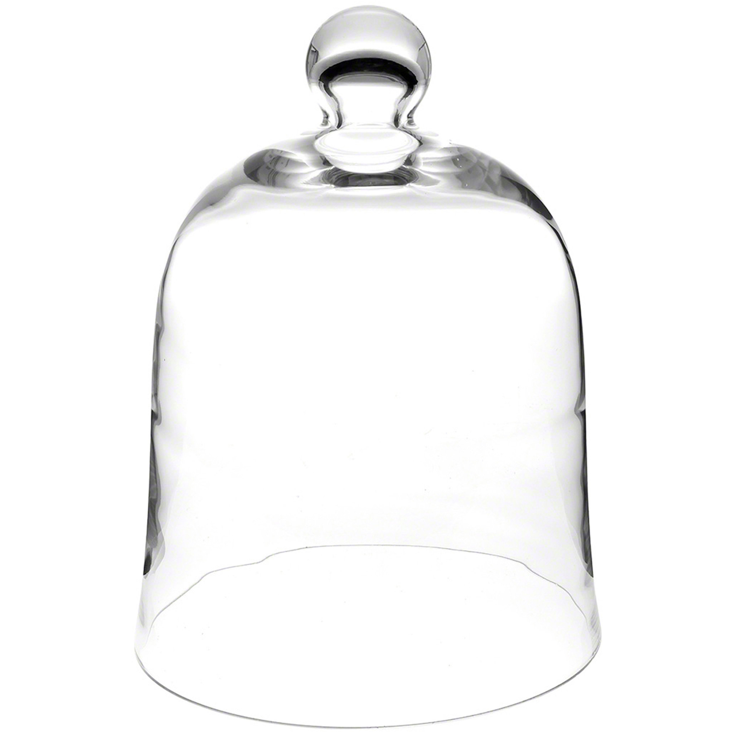 Latitude Run® Bettzy Display Dome Cloche & Reviews | Wayfair