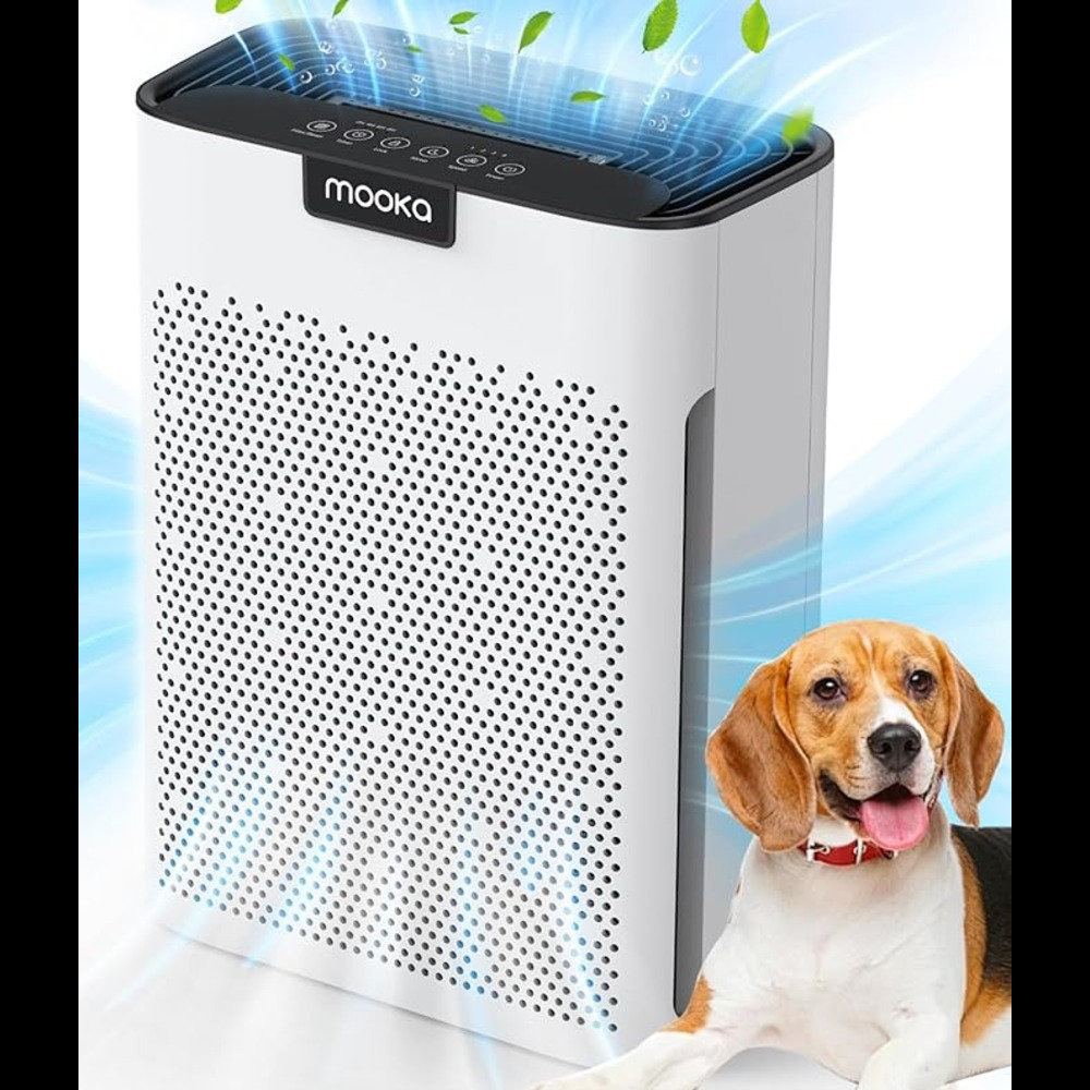 Invenitiah Air Purifiers For Home Large Room 2000 Ft² With Washable ...