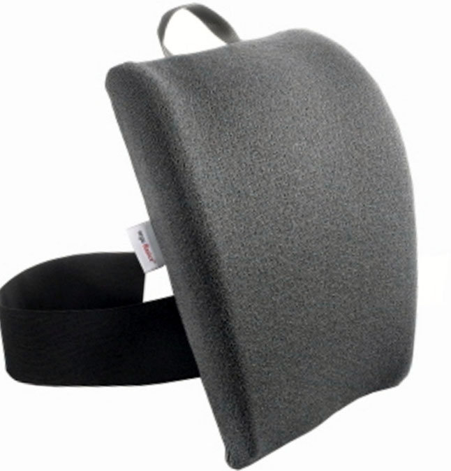 Sacro-Ease Memory Foam Back Support with Adjustable Strap - Wayfair Canada
