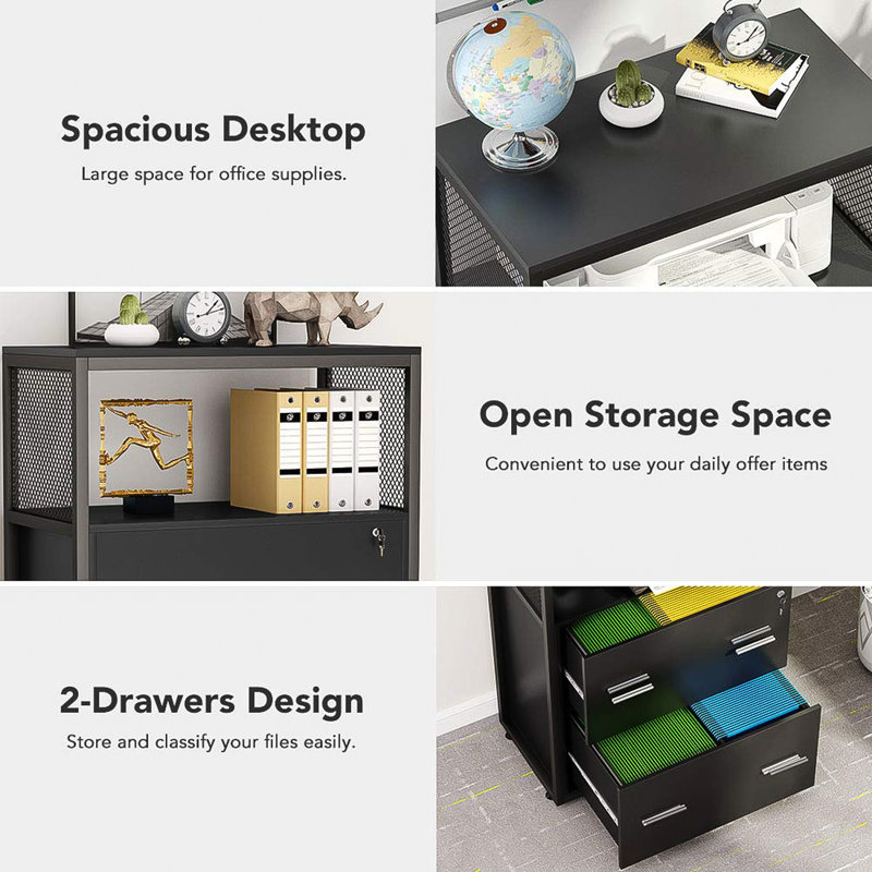 Inbox Zero 23.6'' Wide 2 -Drawer File Cabinet & Reviews | Wayfair