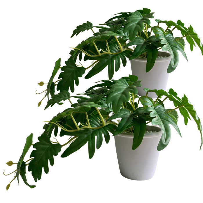 Primrue Chabot 11 Inches Artificial Trailing Philo Greenery Vine Plant ...