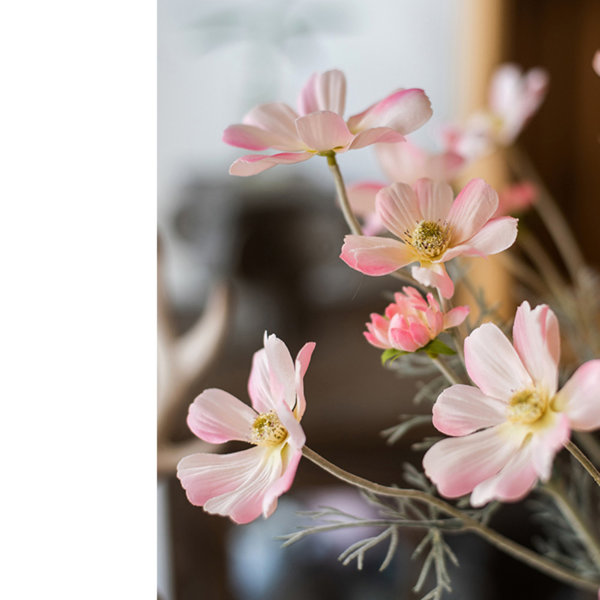 Primrue Cosmos Stems, Bushes, And Sprays Arrangement | Wayfair