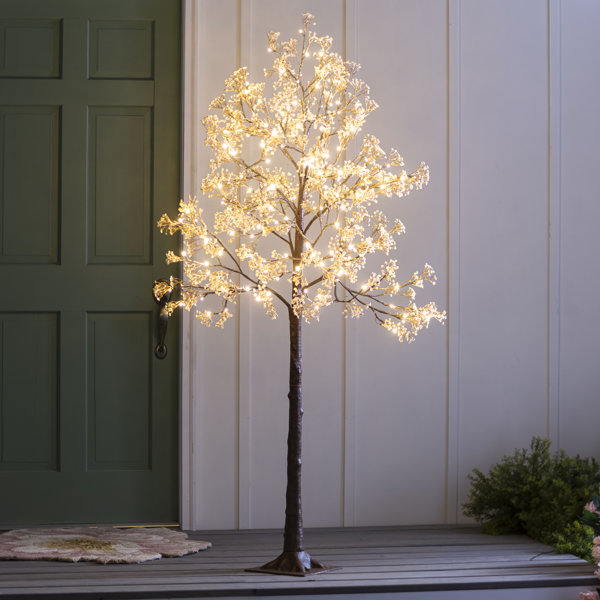 Primrue 6' Indoor/Outdoor Electric Lighted Faux Gypsophila Twig Tree ...