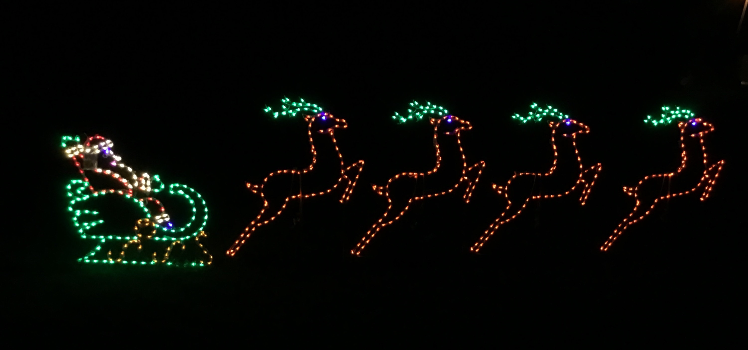 Lori's Lighted D'Lites Medium Santa in Sleigh with 4 Leaping Deer ...