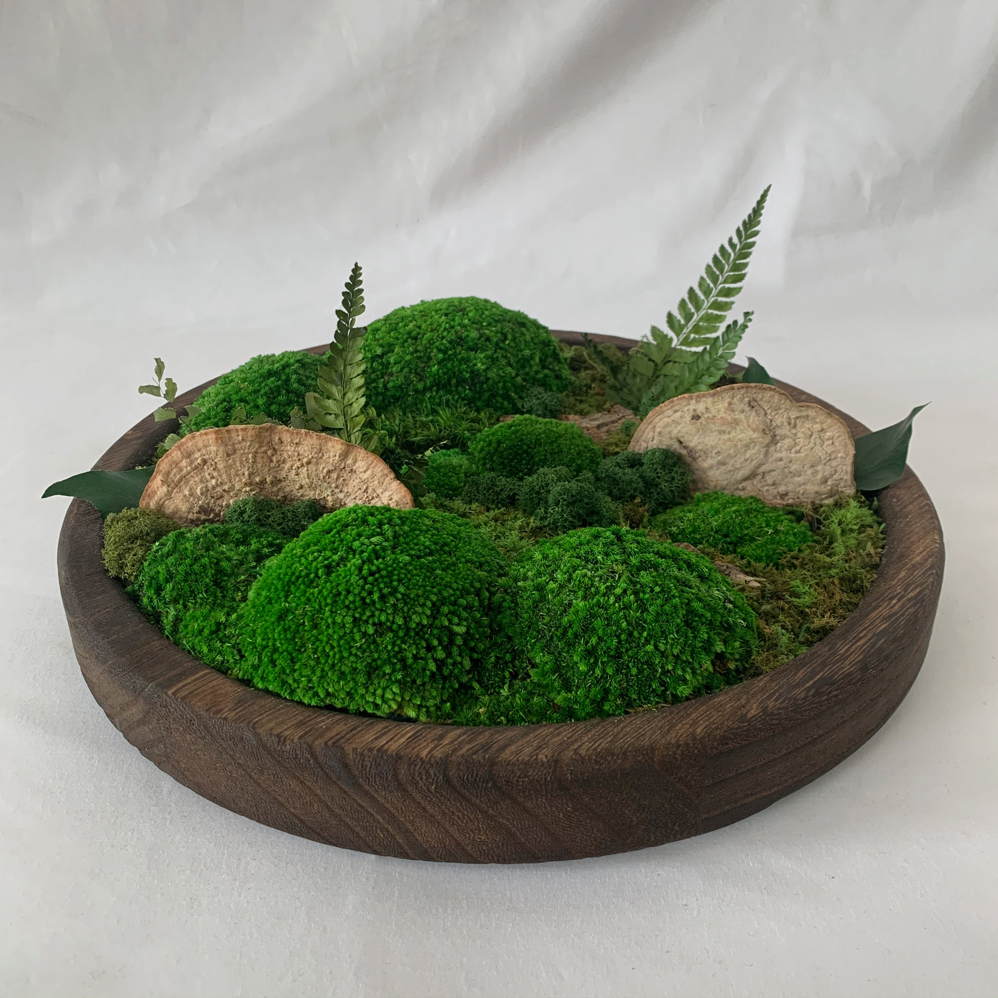Wildleaf Round Wooden Moss Bowl, Centerpiece with Plants | Wayfair
