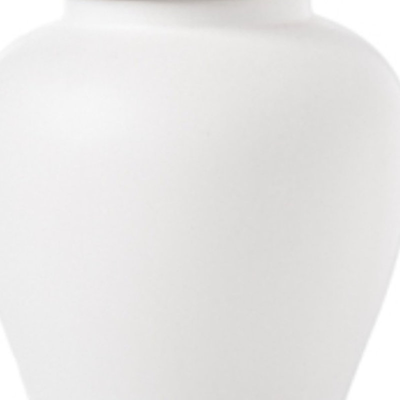 Lark Manor Elza Ceramic Ginger Jar | Wayfair