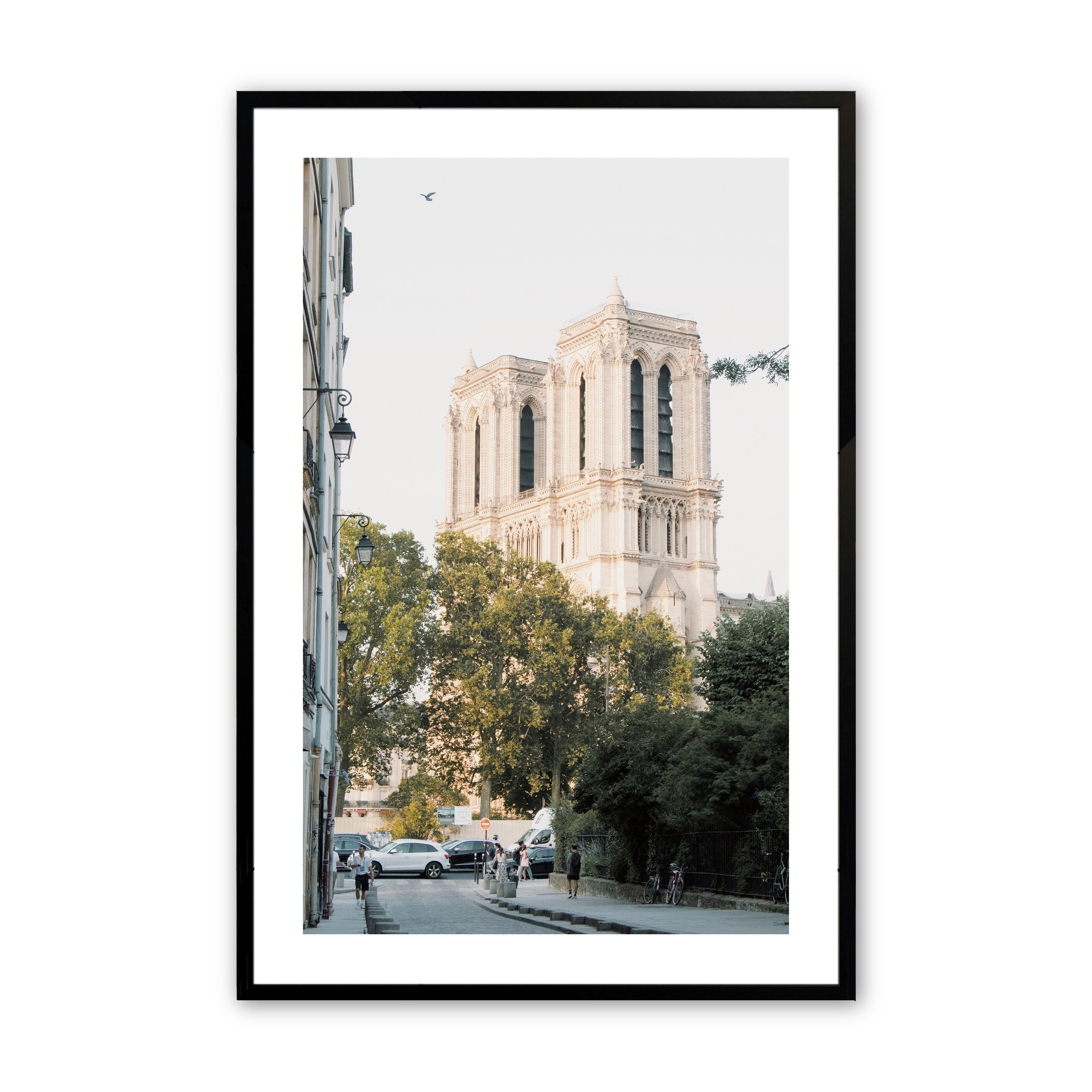 Ebern Designs Arquette French History Framed On Paper by Krista ...