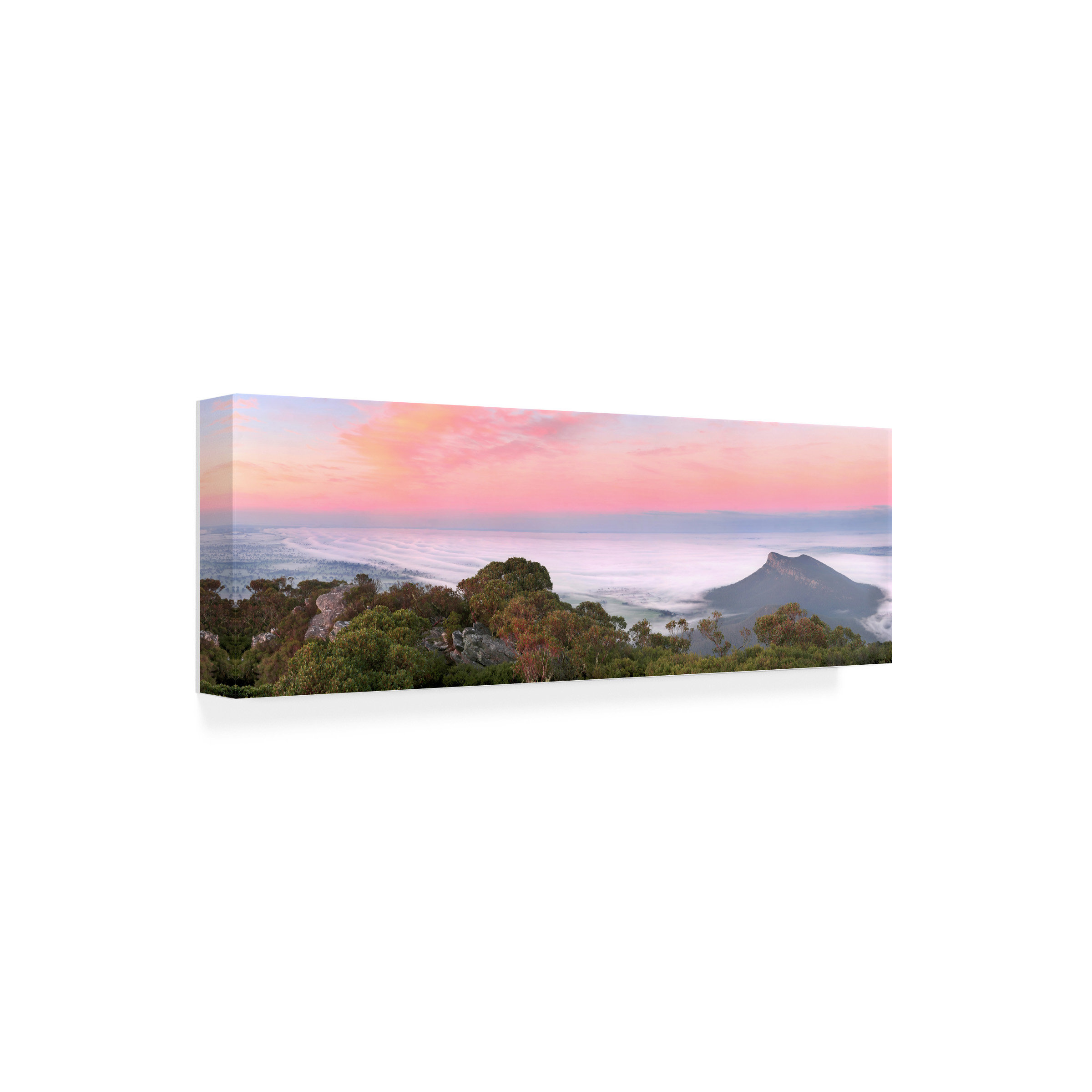 Millwood Pines Wayne Bradbury Photography 'Mt Sturgeon Fog' Canvas Art ...