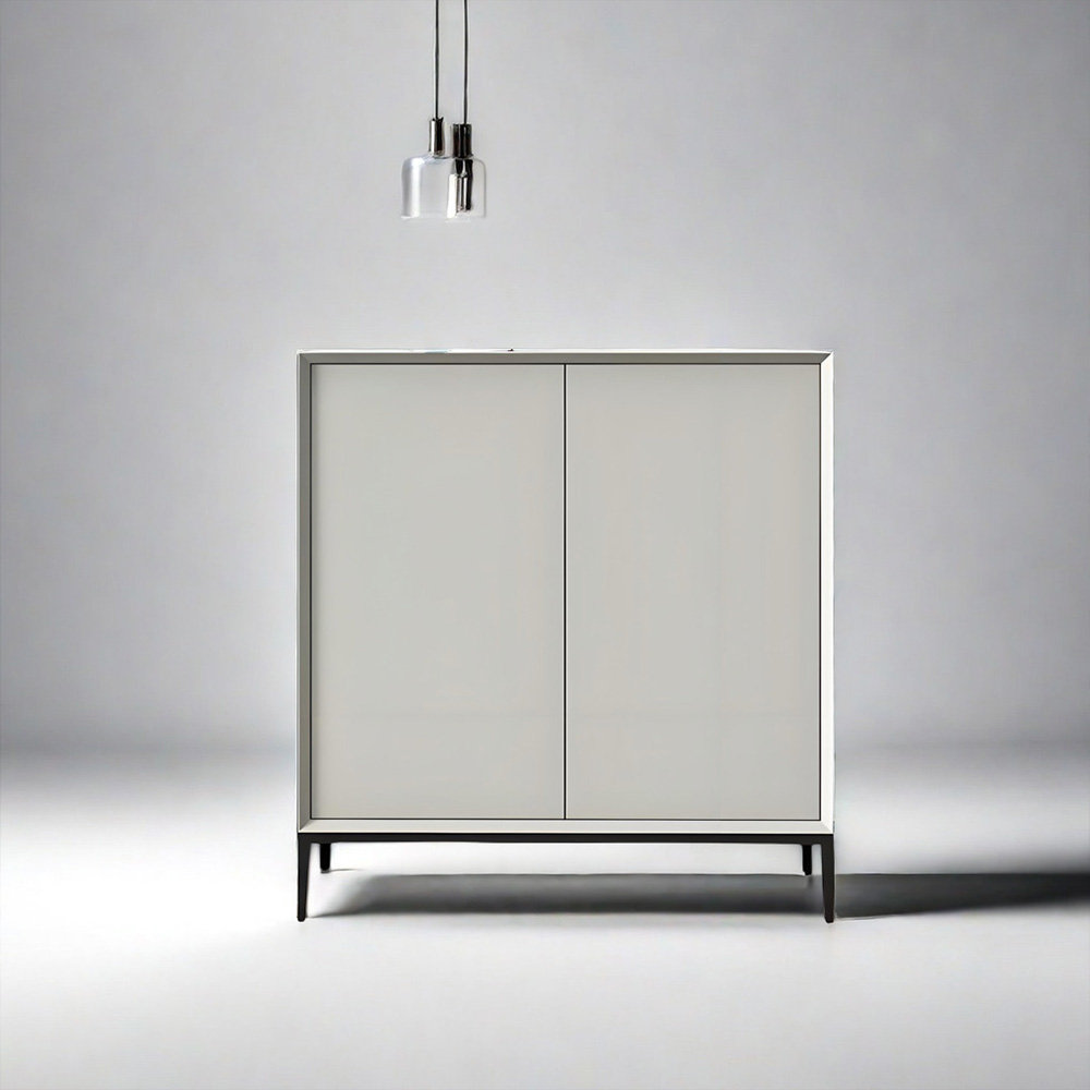 DICIXA Elegant Shoe Storage Cabinets for Any Space - Wayfair Canada