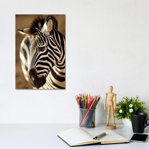East Urban Home " Zebra IV " by Goran Anastasovski on Canvas - Wayfair ...