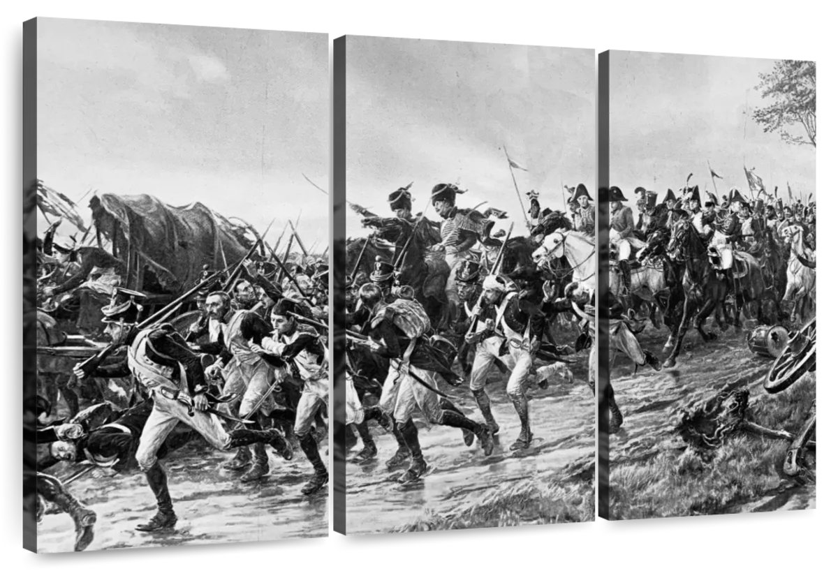 Elephant Stock Napoleon Battle | Wayfair
